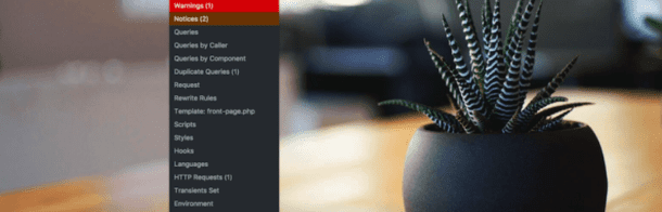 What A Wordpress Query Monitor Is And Why You Might Need One
