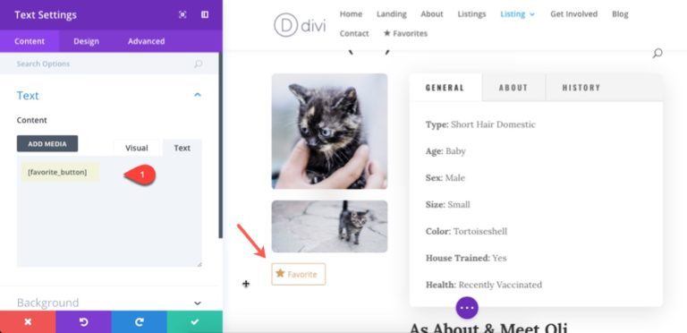How to Add Favorite Button Functionality to Your Divi Site