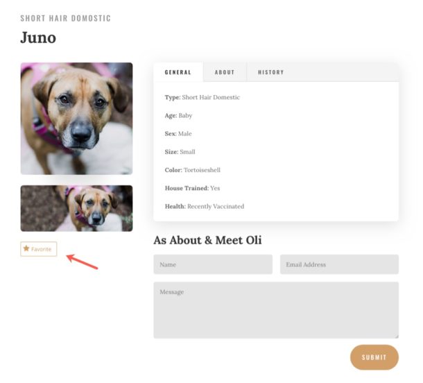 How to Add Favorite Button Functionality to Your Divi Site