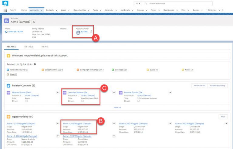 Salesforce CRM: A Detailed Overview