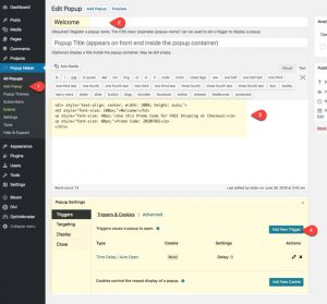 Creating Custom Welcome Messages and Opt-Ins for Your Visitors