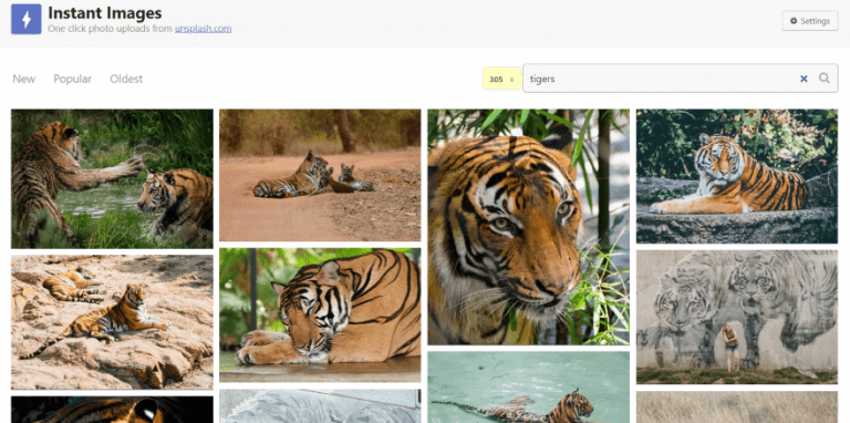 How to Use Unsplash Images in WordPress with One Click