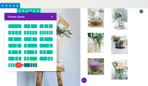 3 Image Gallery Designs Using Divi's New Column Layouts