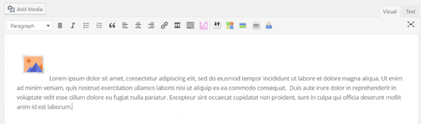 Divi Plugin Highlight: WP and Divi Icons