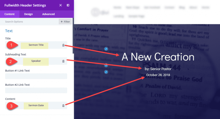 How to Build a Sermon Layout using Custom Fields and Dynamic Content in Divi