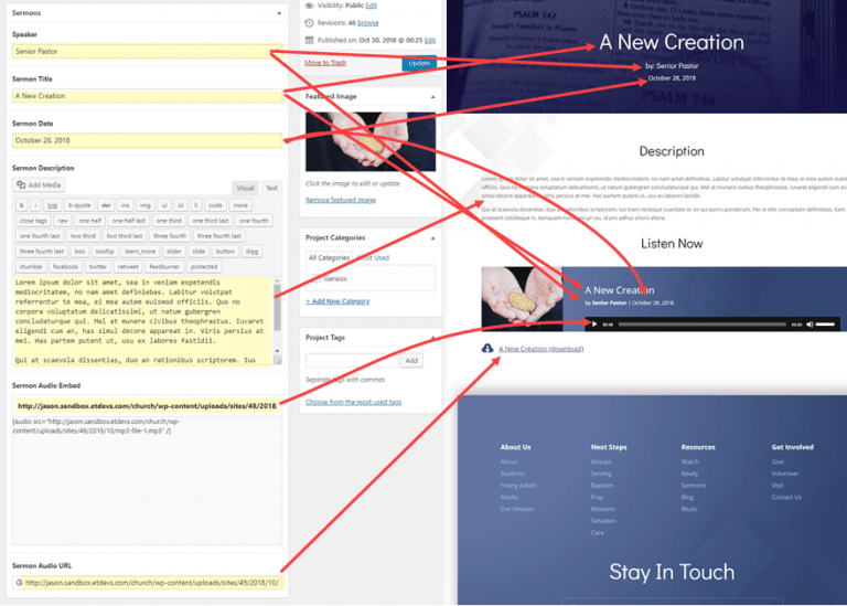 How to Build a Sermon Layout using Custom Fields and Dynamic Content in Divi