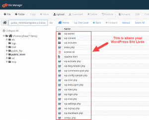 How to Install WordPress: The Definitive Guide