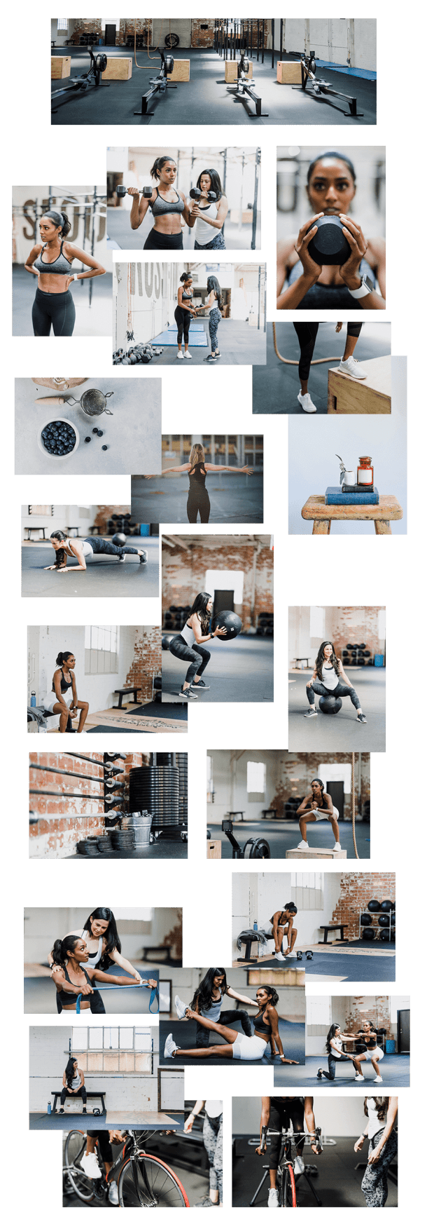 Get a FREE Personal Trainer Layout Pack for Divi - Ask the Egghead, Inc.