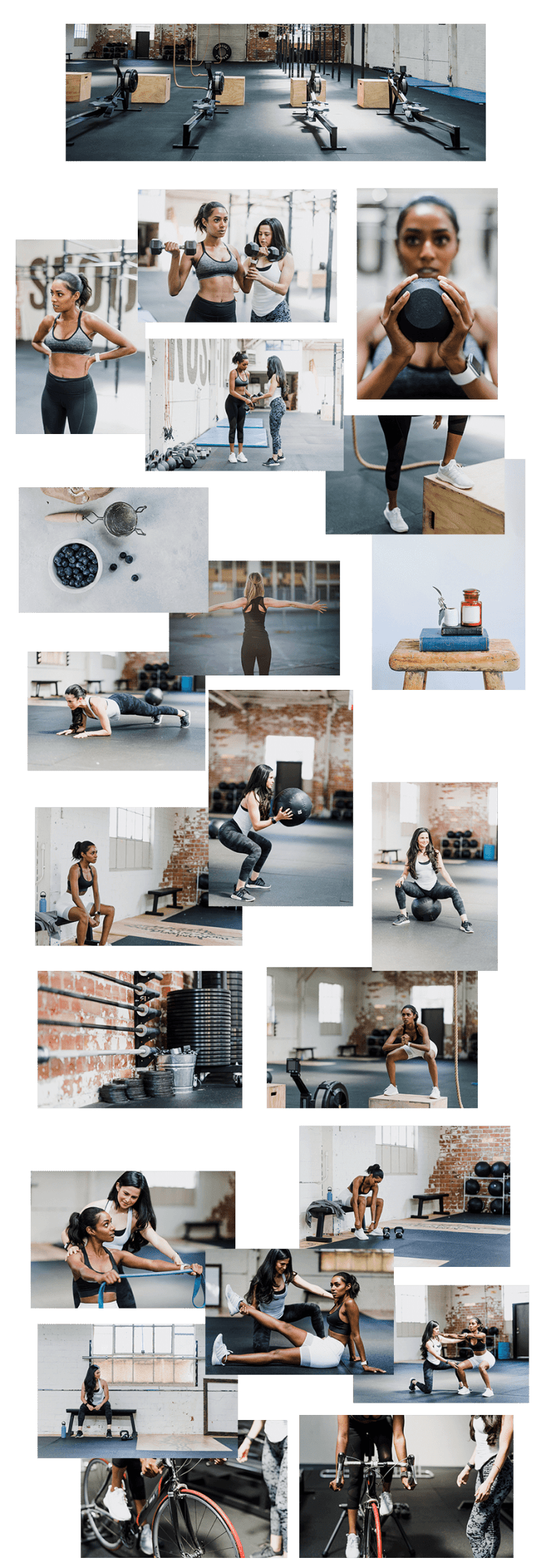 Get a FREE Personal Trainer Layout Pack for Divi