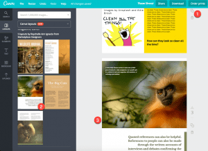 How to Create a Digital Magazine in Canva for Your Blog (And Why You'd ...