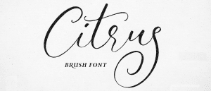 15 Best Fancy Fonts for Your Next Special Occasion