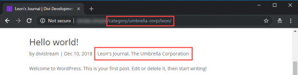 How to Create Multiple Blogs on One WordPress Website