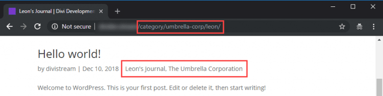 How to Create Multiple Blogs on One WordPress Website