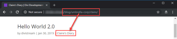 How to Create Multiple Blogs on One WordPress Website