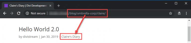 How to Create Multiple Blogs on One WordPress Website