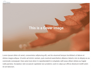 The Difference Between Covered Images and Featured Images in WordPress