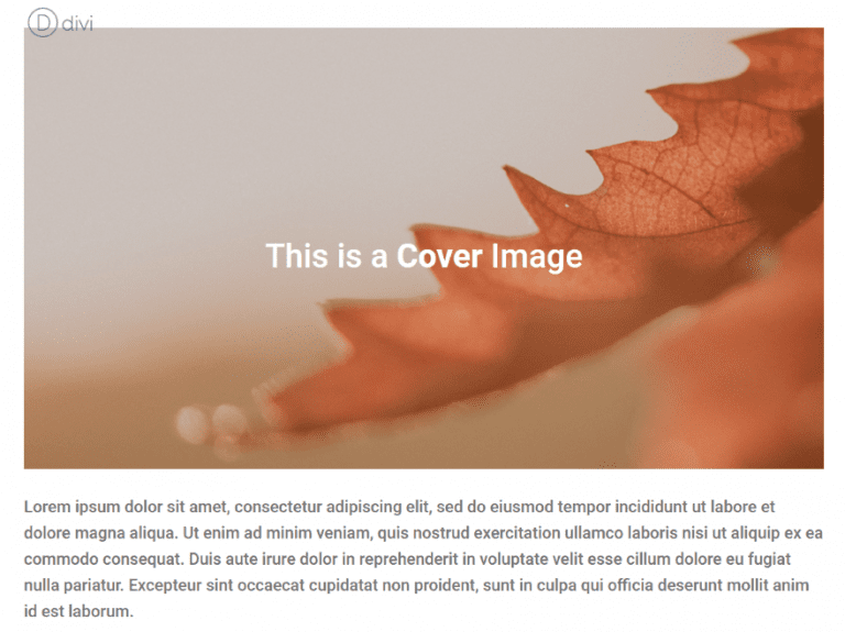 The Difference Between Covered Images and Featured Images in WordPress ...