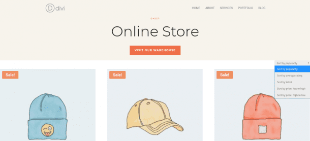 How To Create Filtered Sidebars For Your Divi Woocommerce Pages