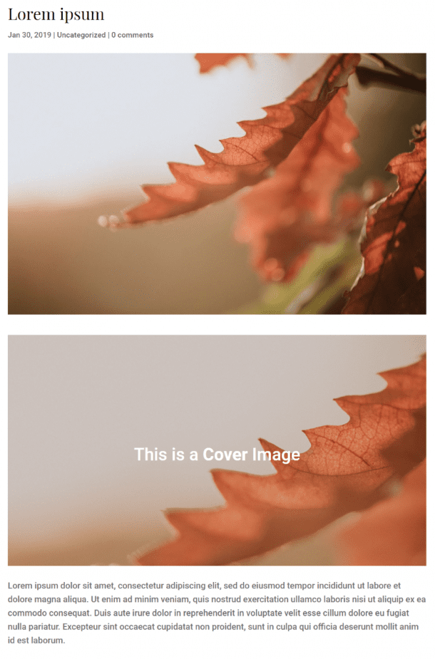 The Difference Between Covered Images and Featured Images in WordPress