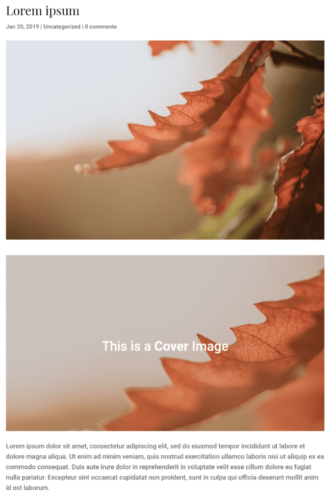 The Difference Between Covered Images and Featured Images in WordPress