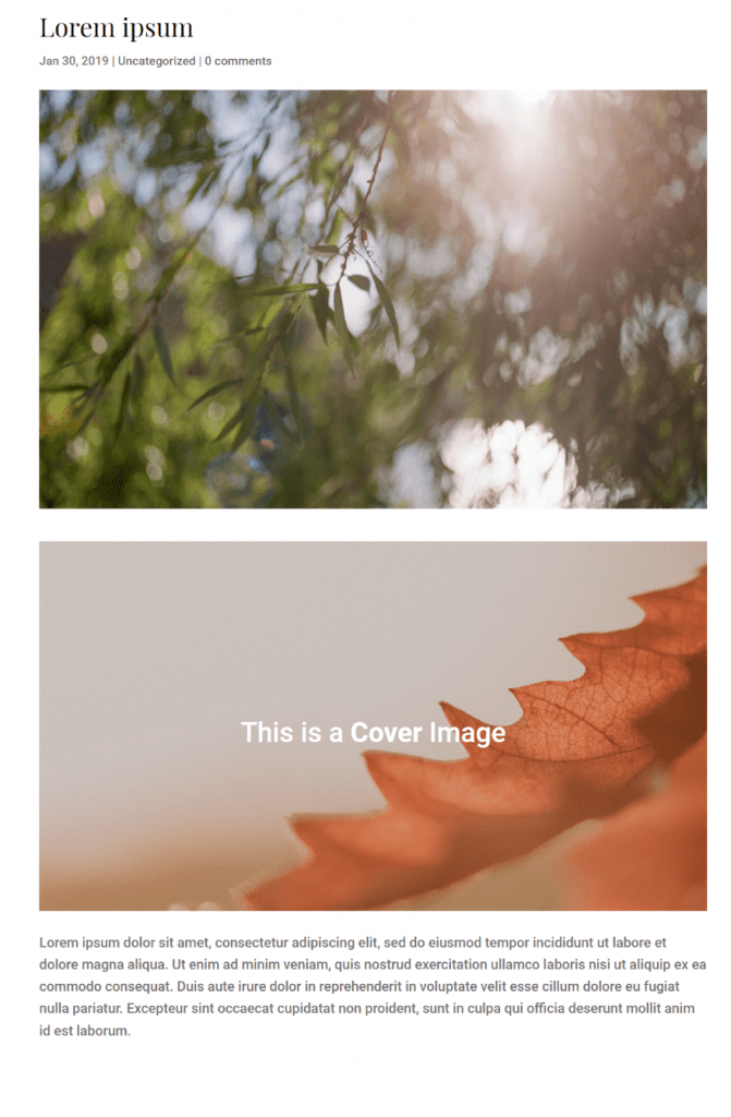The Difference Between Covered Images and Featured Images in WordPress