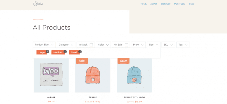 How to Create Filtered Sidebars for your Divi WooCommerce Pages