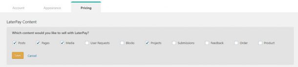 LaterPay WordPress Plugin Overview & Review