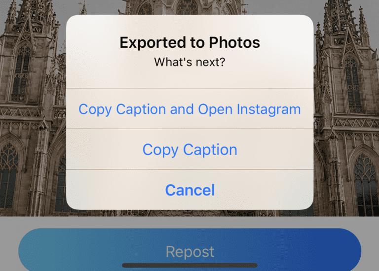 How to Repost a Video on Instagram (and Why You'd Want To)