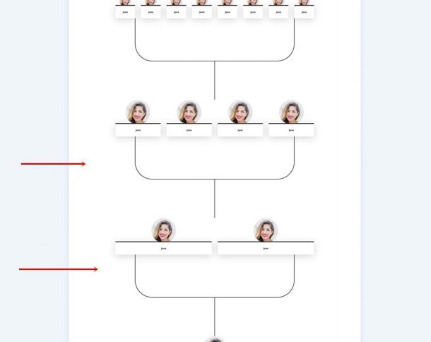 How to Create a Family Tree with Divi's Transform Settings