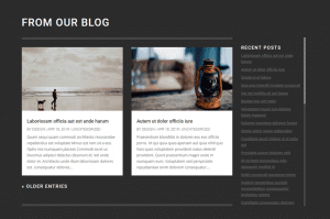 How to Design a Scrollable Recent Posts Widget Area in Divi