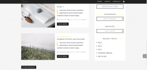 The Journal Blog Kit for Divi Overview and Review