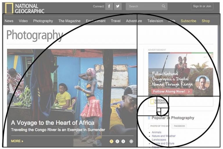 The Golden Ratio: The Ultimate Guide to Understanding and Using It