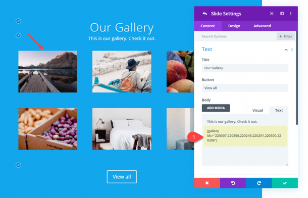 How to Create a Custom Photo Gallery Slider in Divi