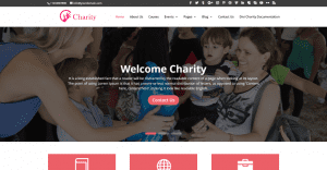 9 Non-Profit Child Themes for Divi