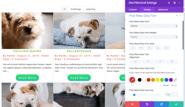 Divi Plugin Highlight: Divi FilterGrid