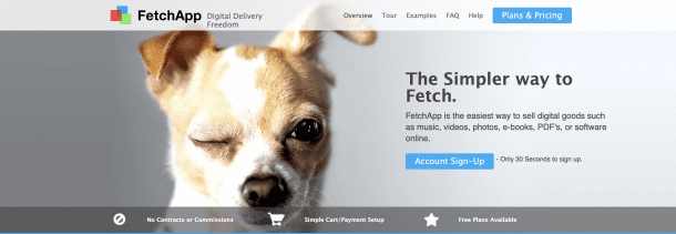 FetchApp: Digital Downloads Made Easy?