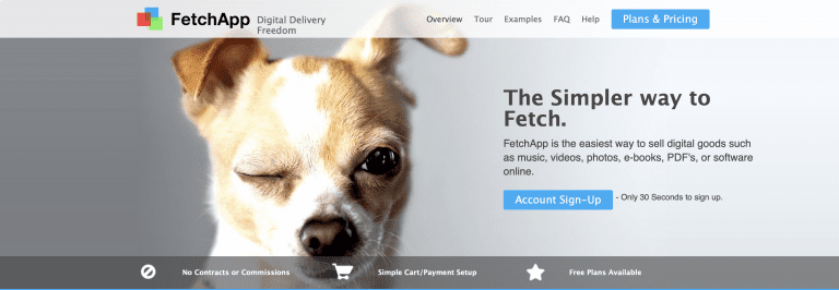 FetchApp: Digital Downloads Made Easy?