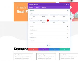 How to Create an Automatic Carousel with Divi & Slick.js