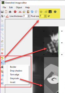 A Guide to Using Greenshot for Blogging