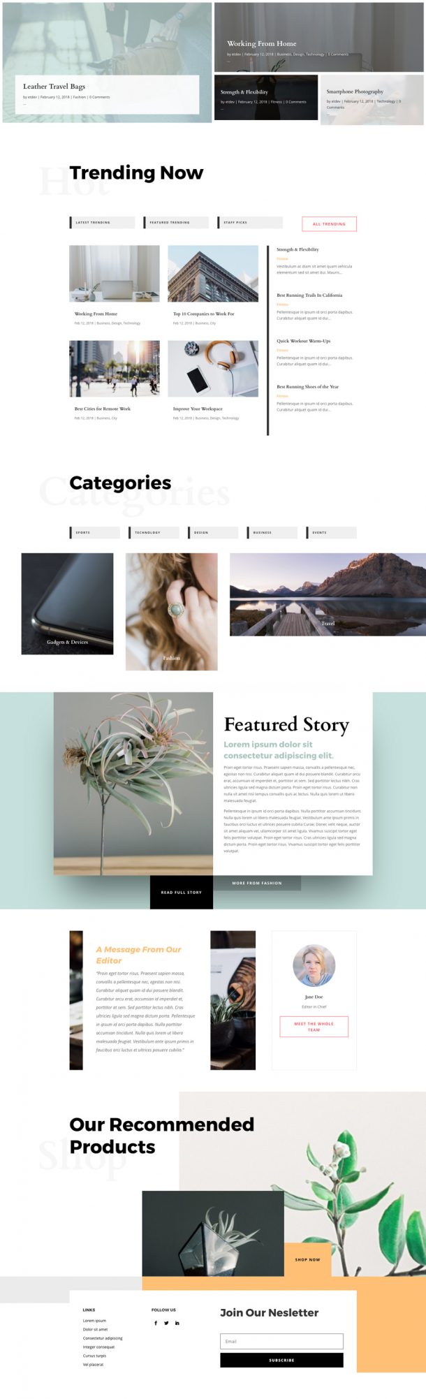 Get a FREE Magazine Layout Pack for Divi