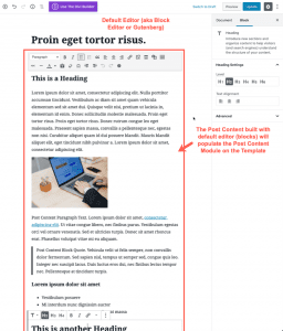 How to Use the Post Content Module in the Divi Theme Builder