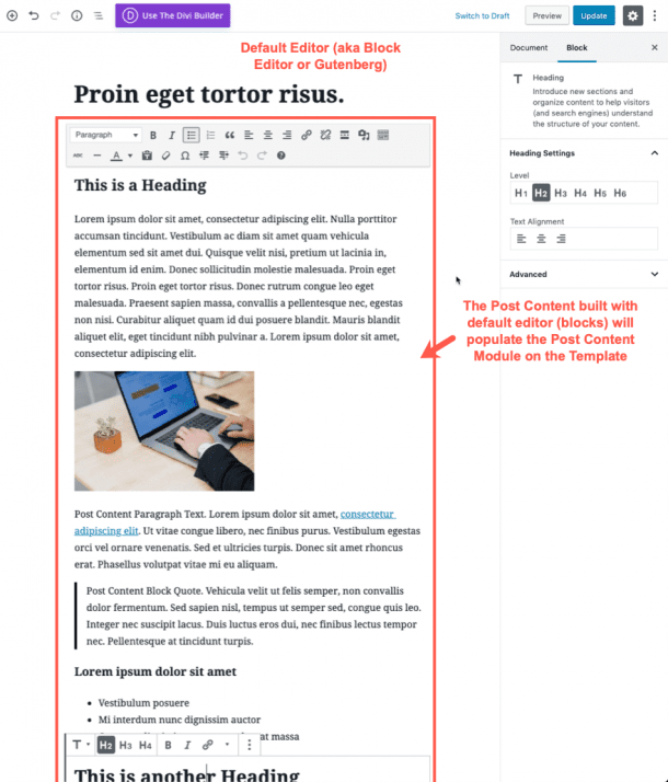 How to Use the Post Content Module in the Divi Theme Builder