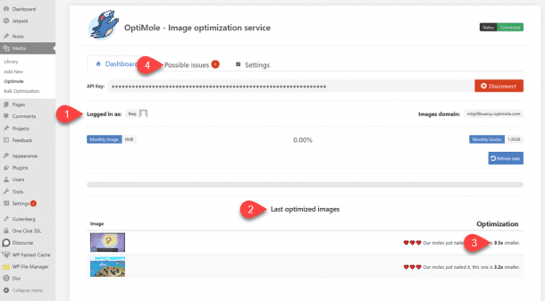 How to Serve WebP Images instead of JPG or PNG with WordPress