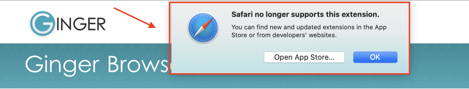 A Guide to Ginger Grammar for Bloggers