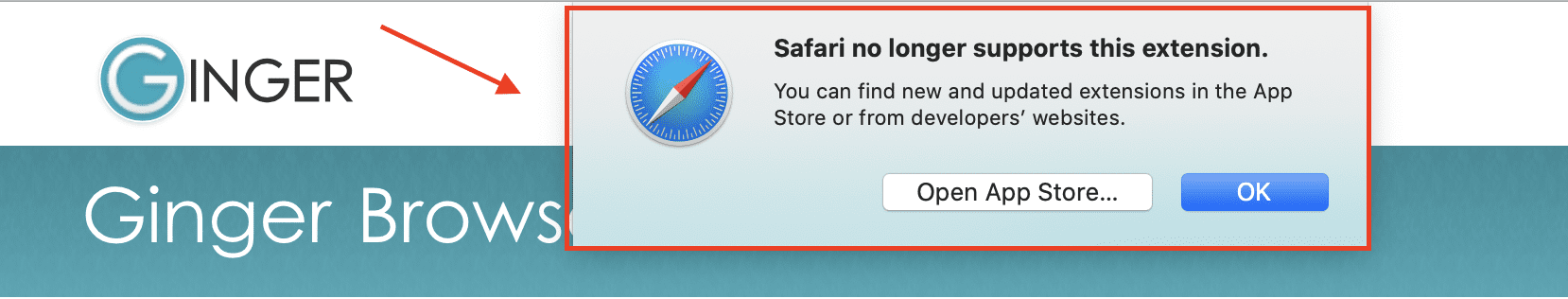 A Guide to Ginger Grammar for Bloggers