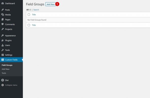 How to Create a Dynamic Portfolio Project Template with Divi & ACF