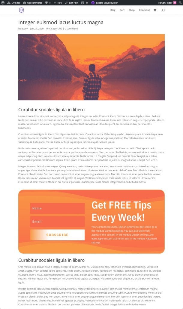 How to Add a Divi Email Optin to Your Gutenberg Blog Post