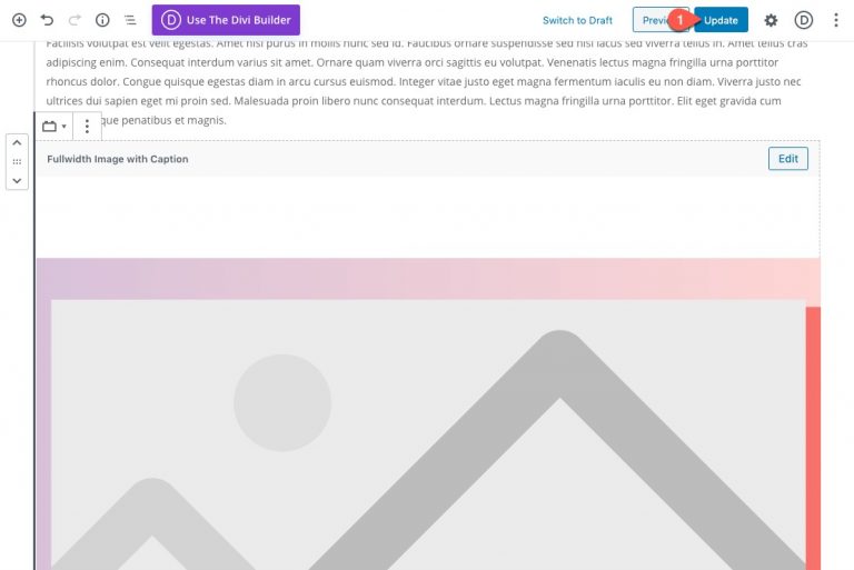 How to Build Reusable Image Layout Blocks for Adding Divi-Styled Images ...