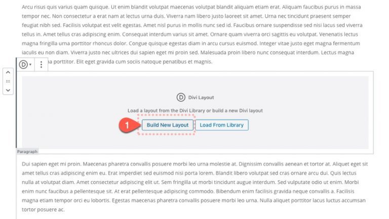 How to Build Reusable Image Layout Blocks for Adding Divi-Styled Images ...