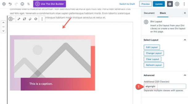 How to Build Reusable Image Layout Blocks for Adding Divi-Styled Images ...